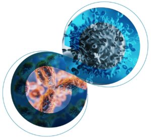 Antibody Profiling Services | Infinity Bio