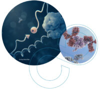 MIPSA Technology for Antibody Profiling | Infinity Bio